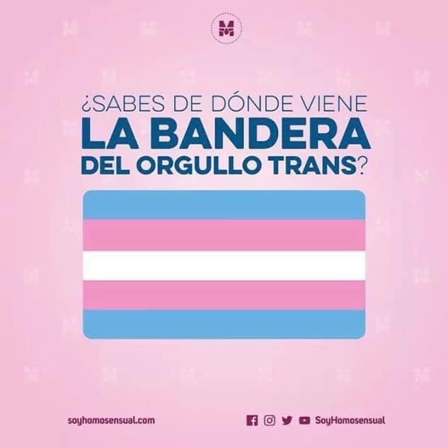 Sabes de donde viene la bandera trans? – Asociación Silueta X en ...