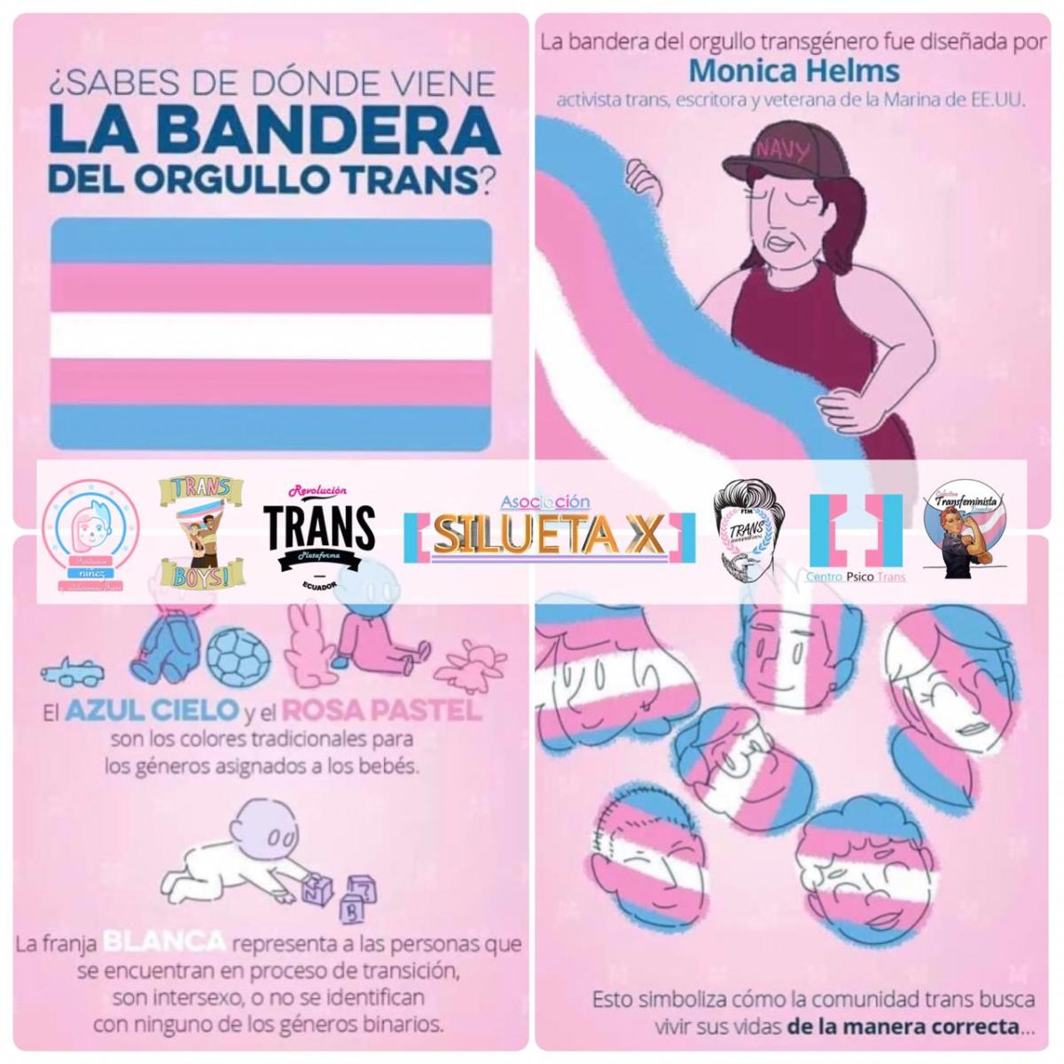 21 años de la Bandera Trans, las ONG´s nos unimos para contarles ...